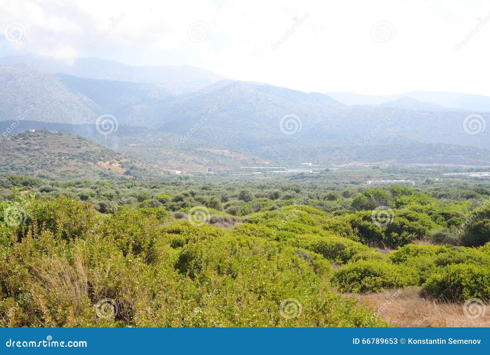 Summer landscape in Crete. stock image. Image of plant - 66789653