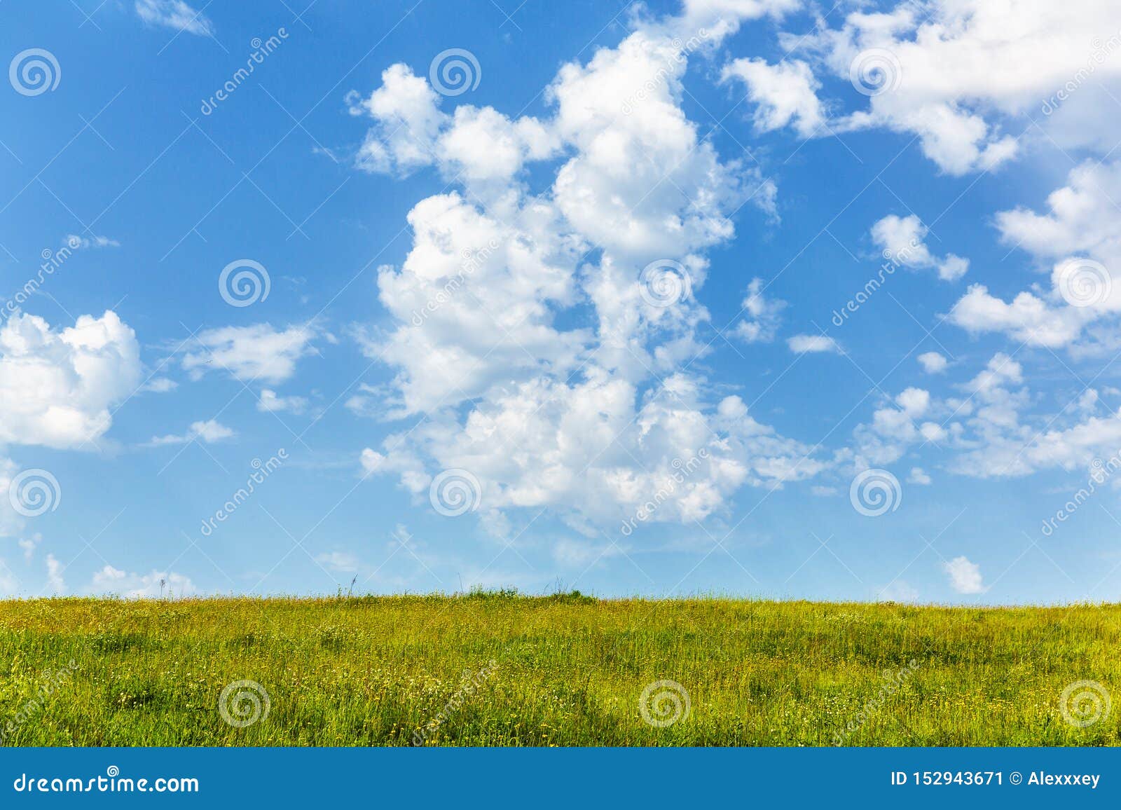 Summer Landscape, Field with Flowers and Sky with Clouds Stock Image ...