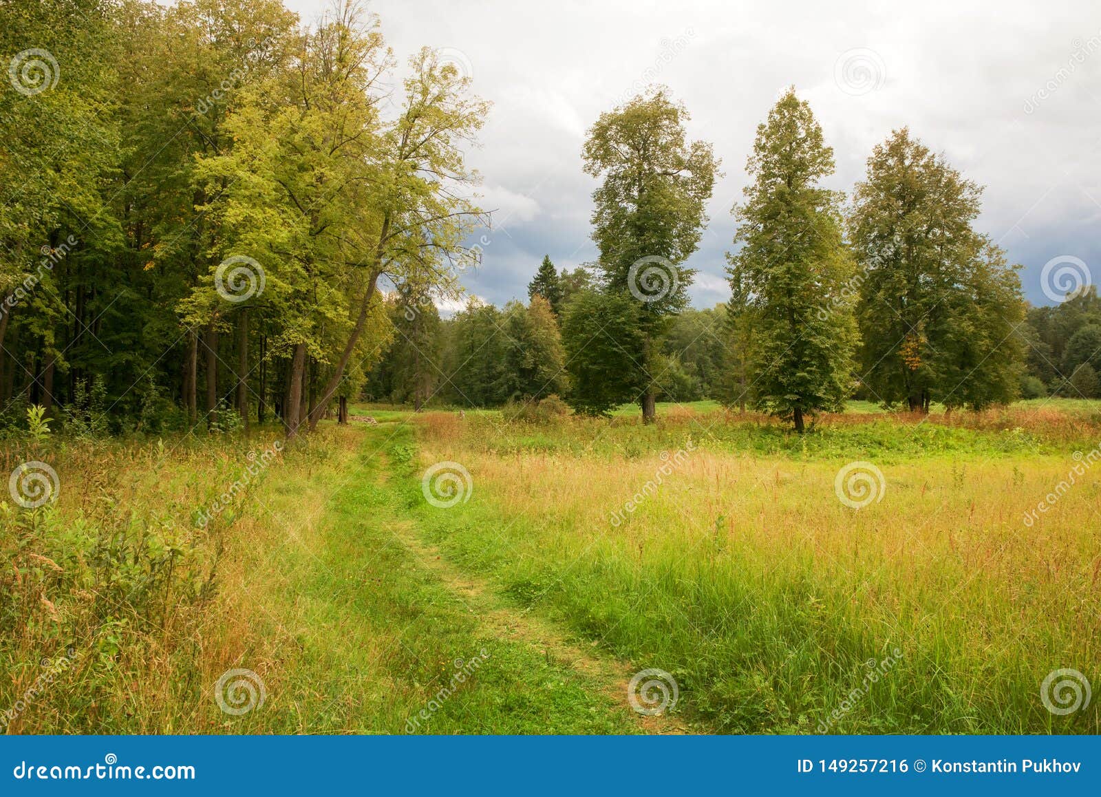 Footpath Going through the Field Stock Photo - Image of forest ...