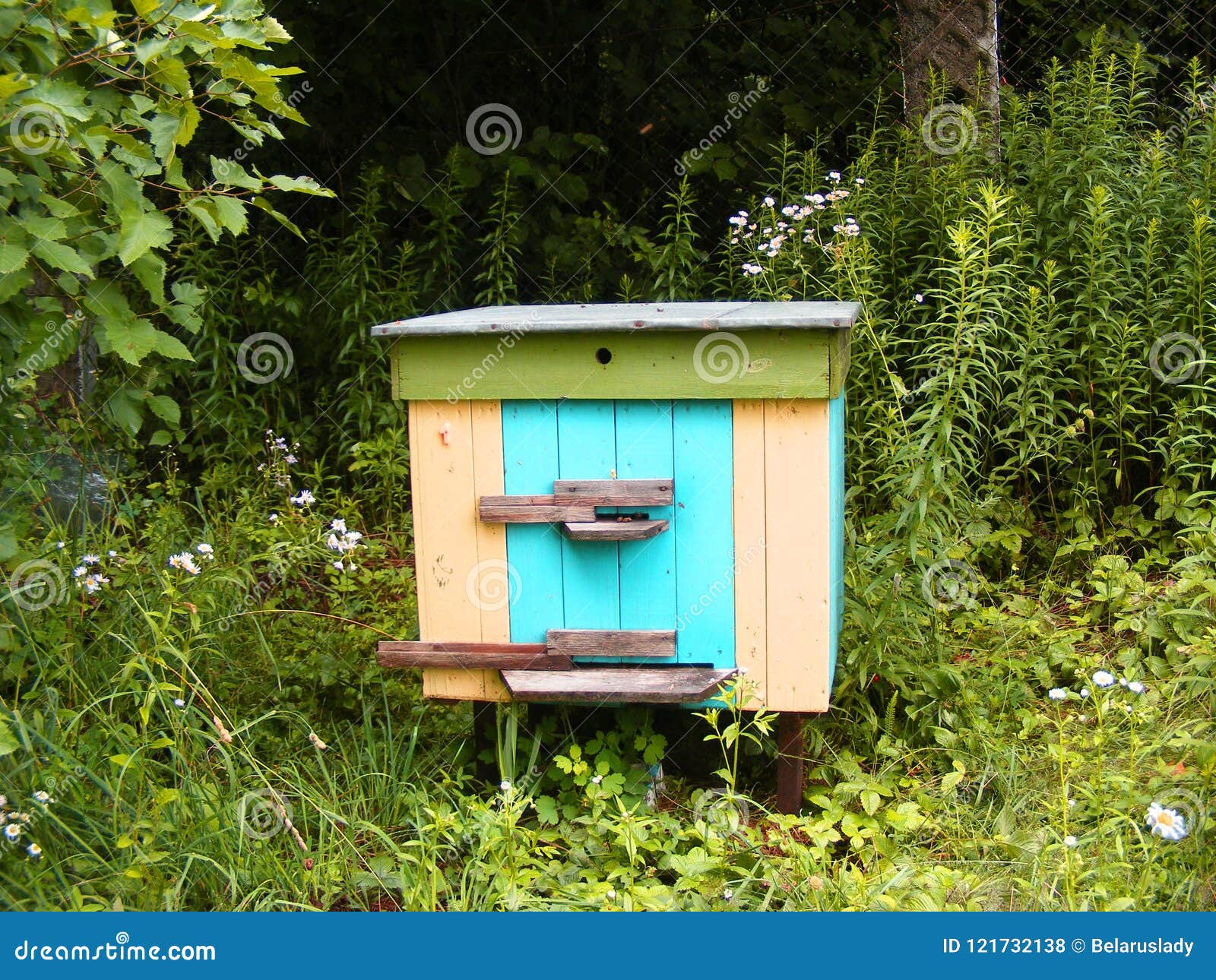 Summer Landscape in Forest. Apiary Stock Photo - Image of apitherapy ...