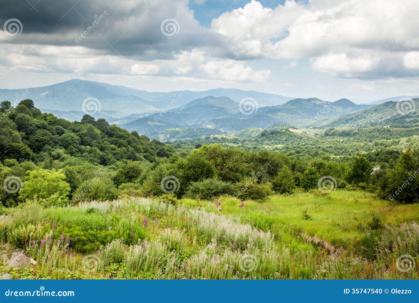 Summer Landscape in Georgia Stock Photo - Image of forest, mountains ...