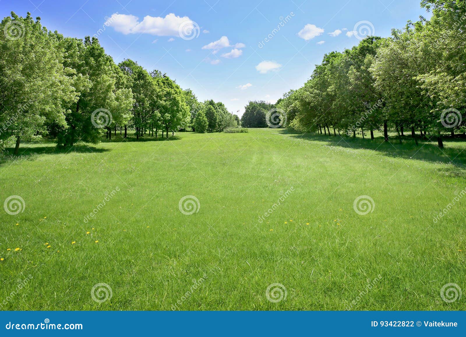 Summer Landscape of Grass and Trees. Stock Photo - Image of scenery ...