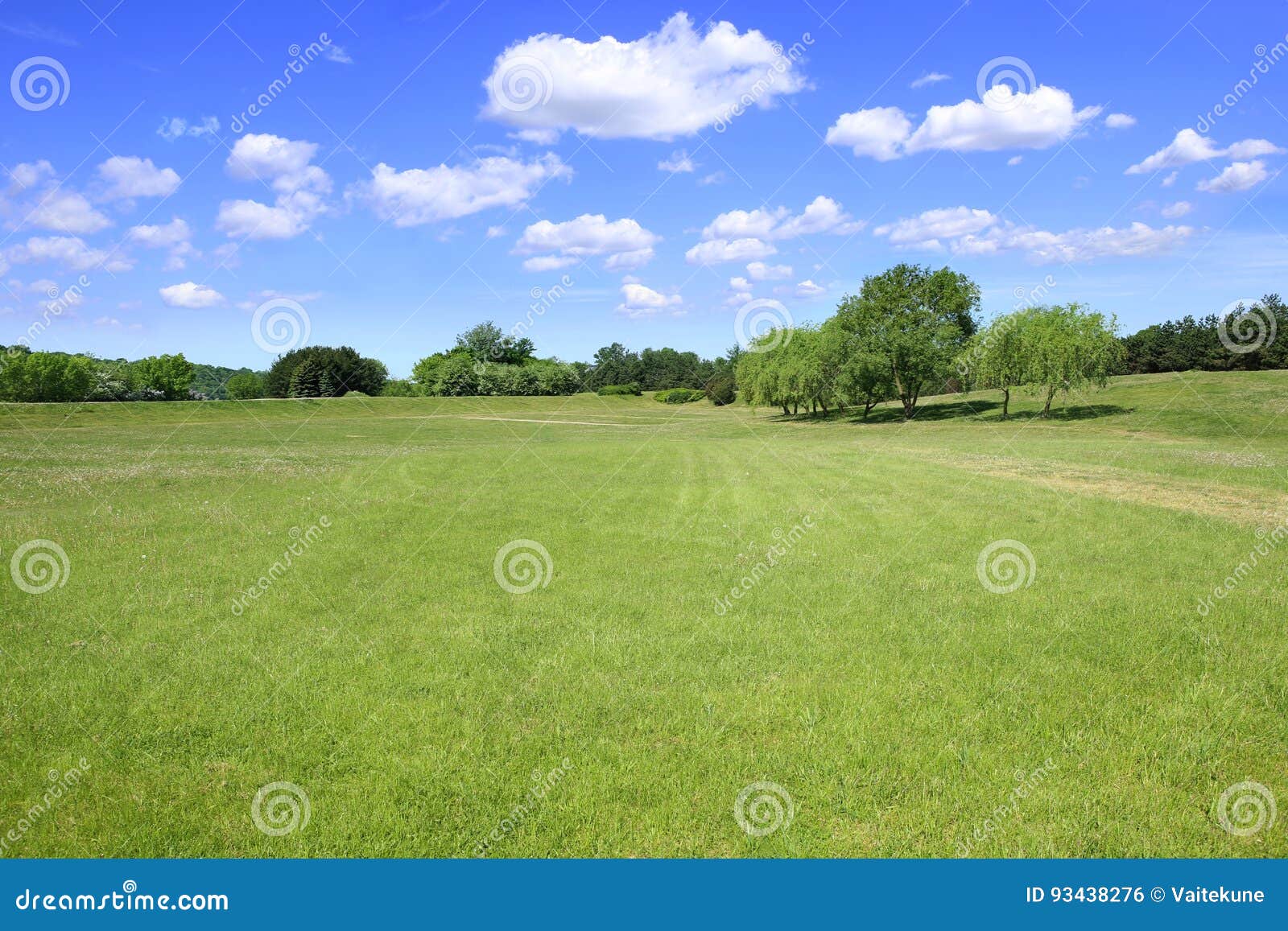 Summer Landscape of Grass and Trees. Stock Photo - Image of scenery ...