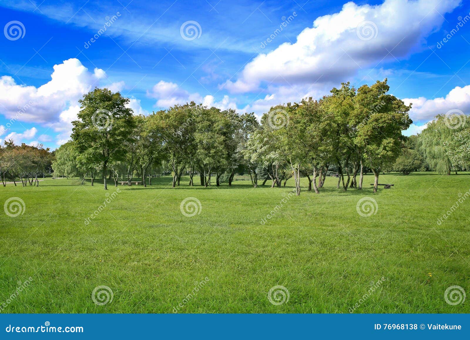 Summer Landscape of Grass and Trees. Stock Photo - Image of country ...