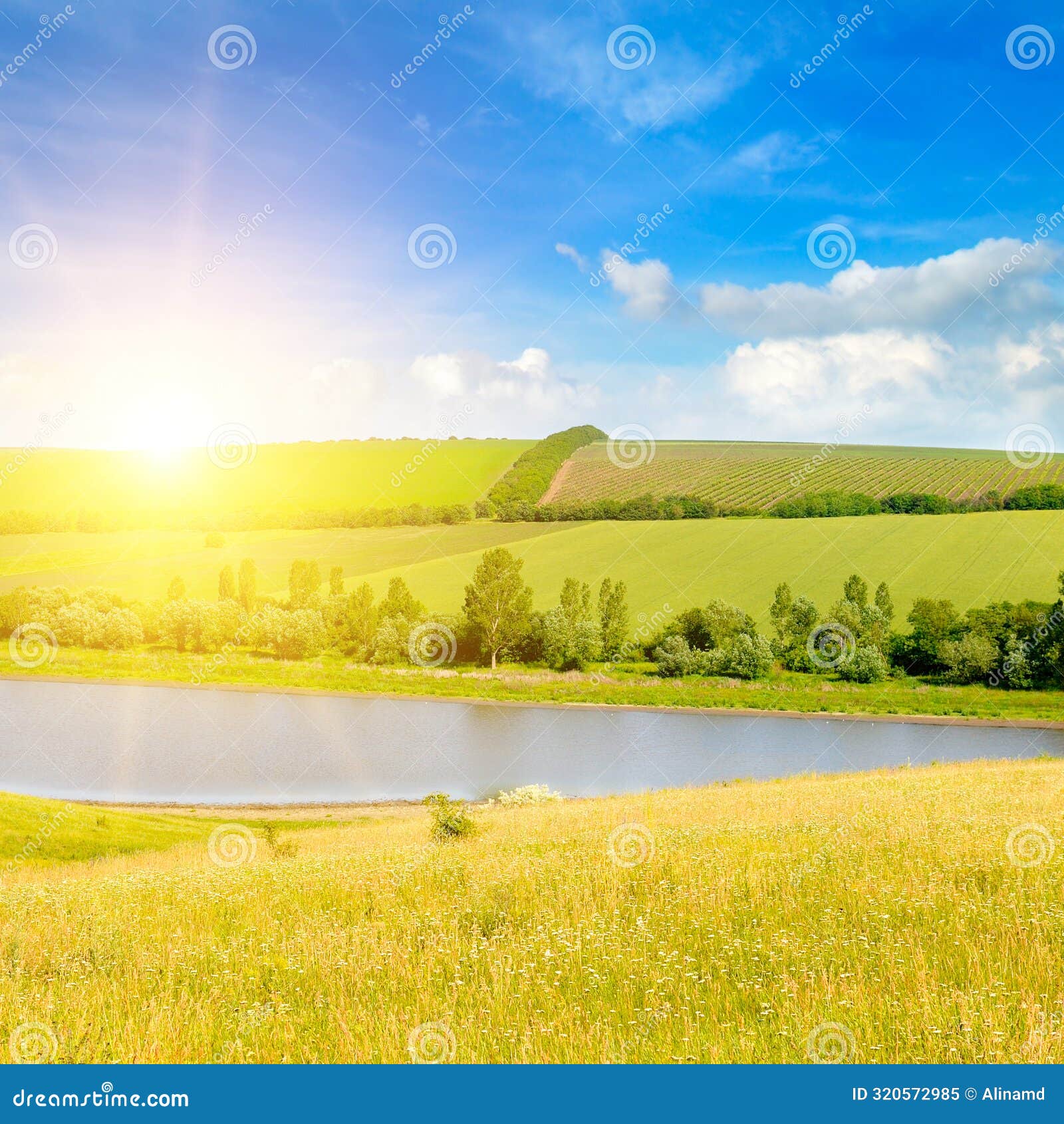 Summer Landscape with a Green Field and a Lake. Sky with Bright Sun and ...
