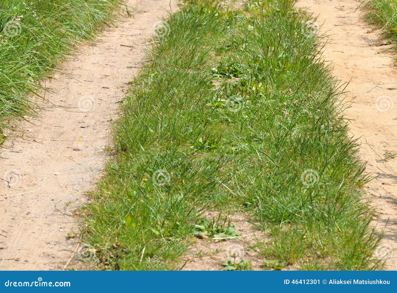 Summer Landscape with Green Grass, Road Stock Image - Image of meadow ...