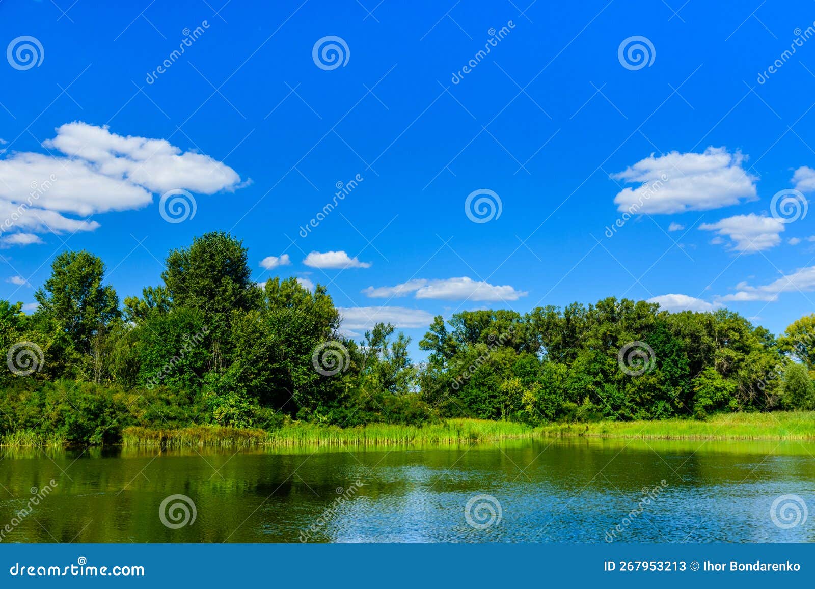 Summer Landscape with the Green Trees and River Stock Image - Image of ...