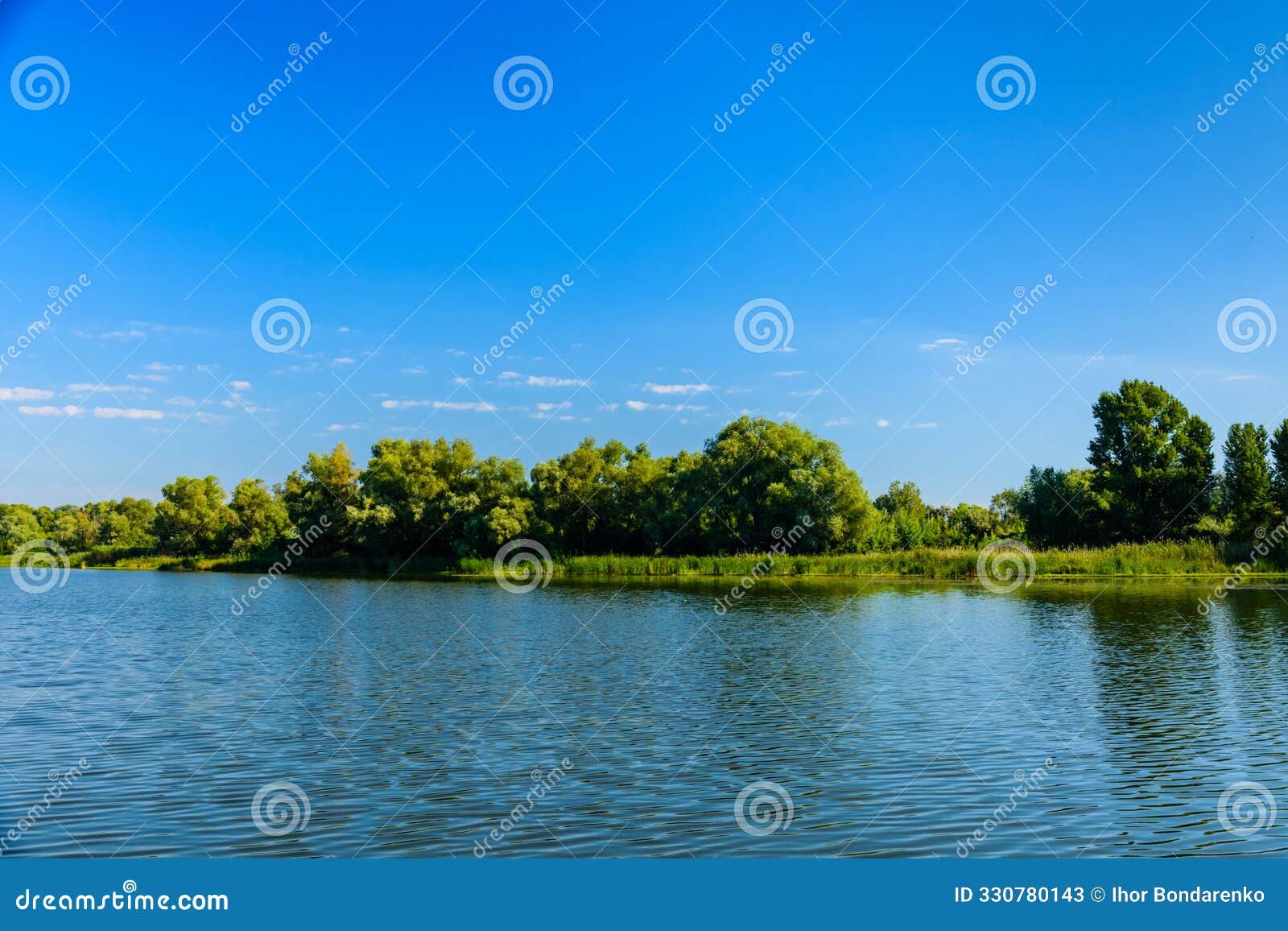 Summer Landscape with the Green Trees and River Stock Image - Image of ...