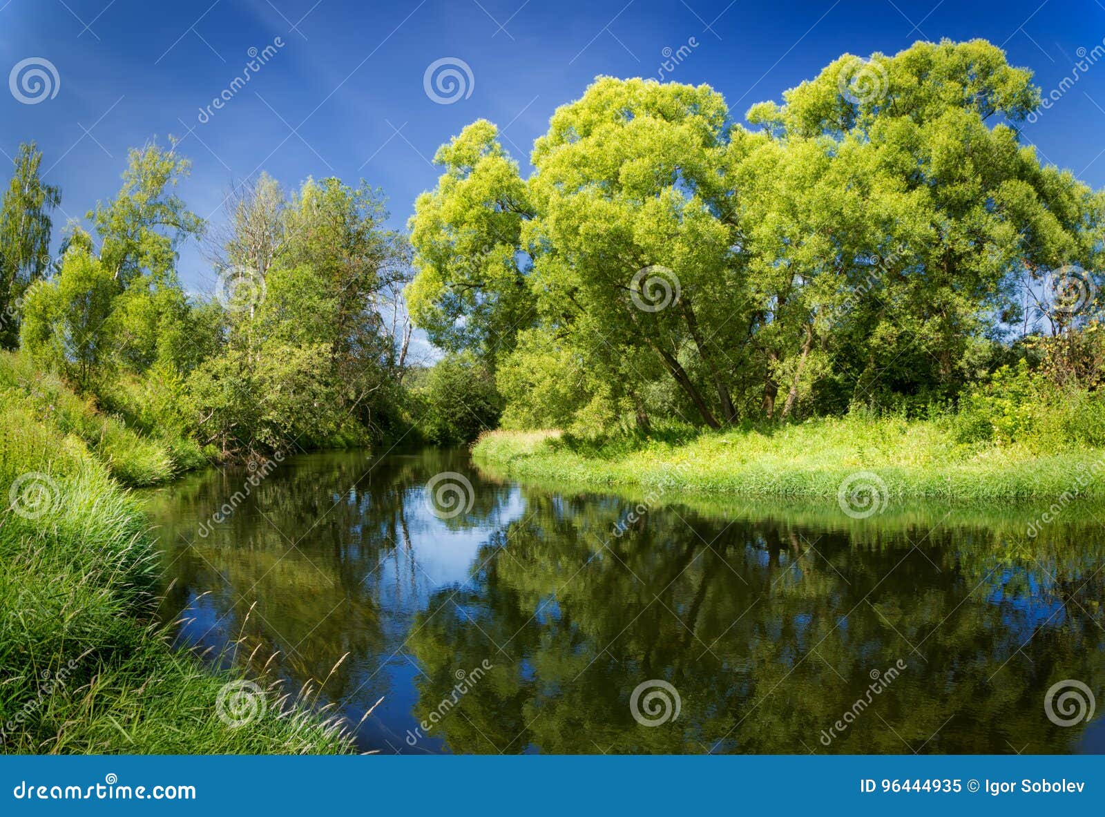 Summer Landscape with Green Trees, and a River Stock Image - Image of ...