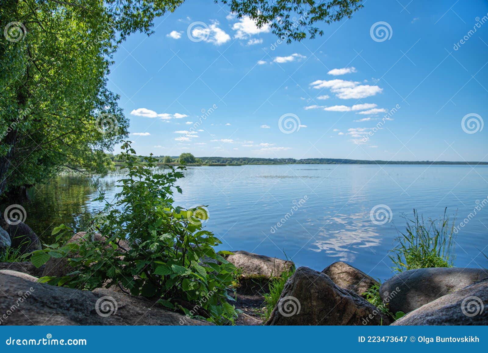 Summer Landscape on the Lake with Rocks and Trees. the Concept of ...