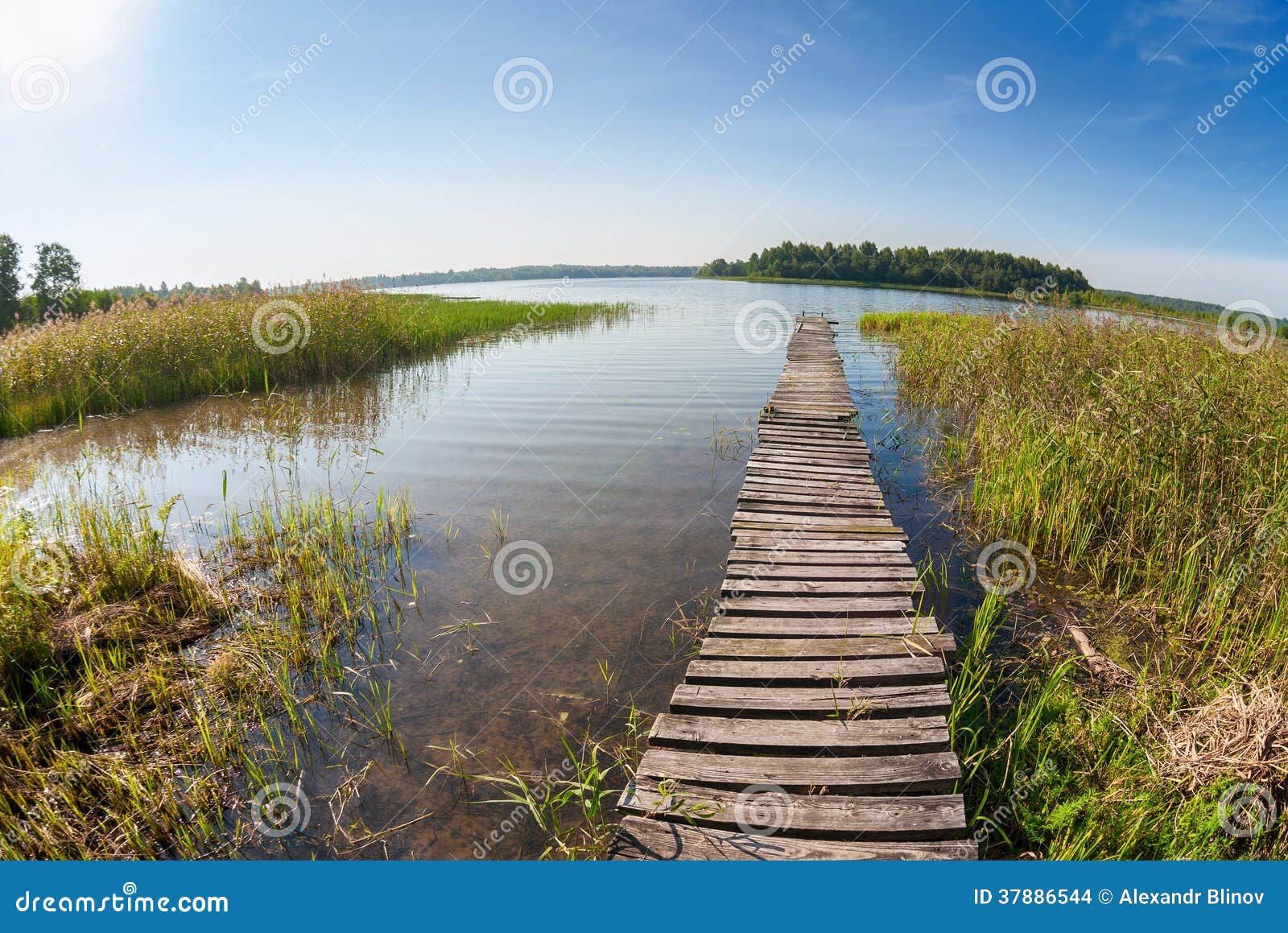 Summer Landscape with Lake and Wooden Bridge Stock Photo - Image of ...