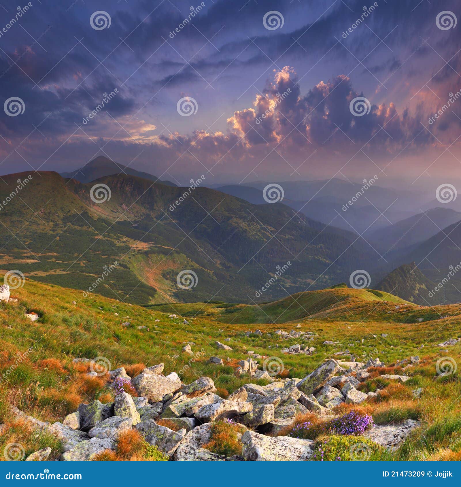 Summer Landscape in the Mountains Stock Image - Image of environment ...