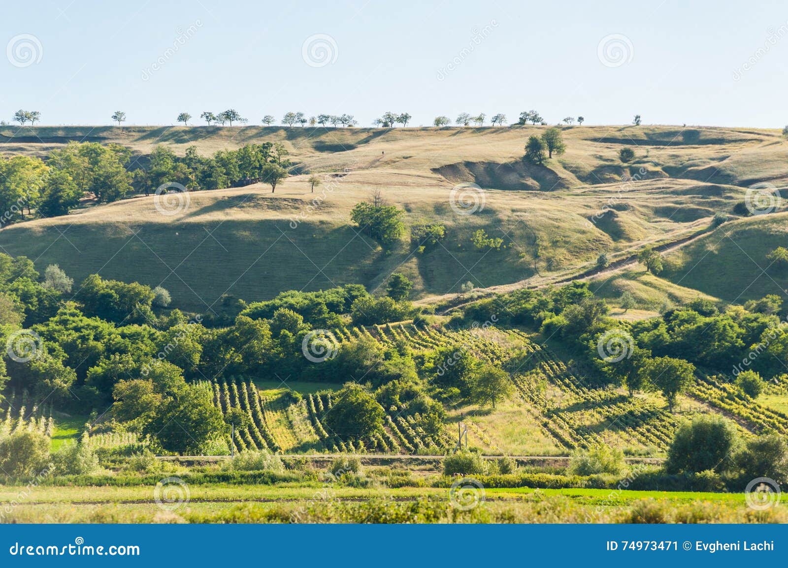 Summer Landscape in the Mountains and Hills, Moldova Stock Image ...