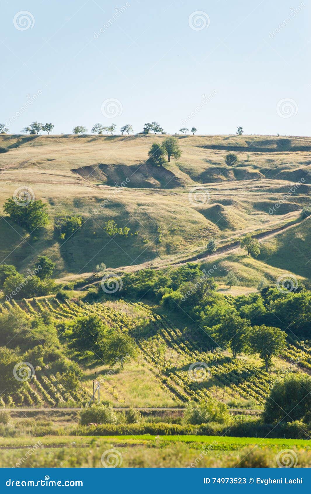 Summer Landscape in the Mountains and Hills, Moldova Stock Image ...