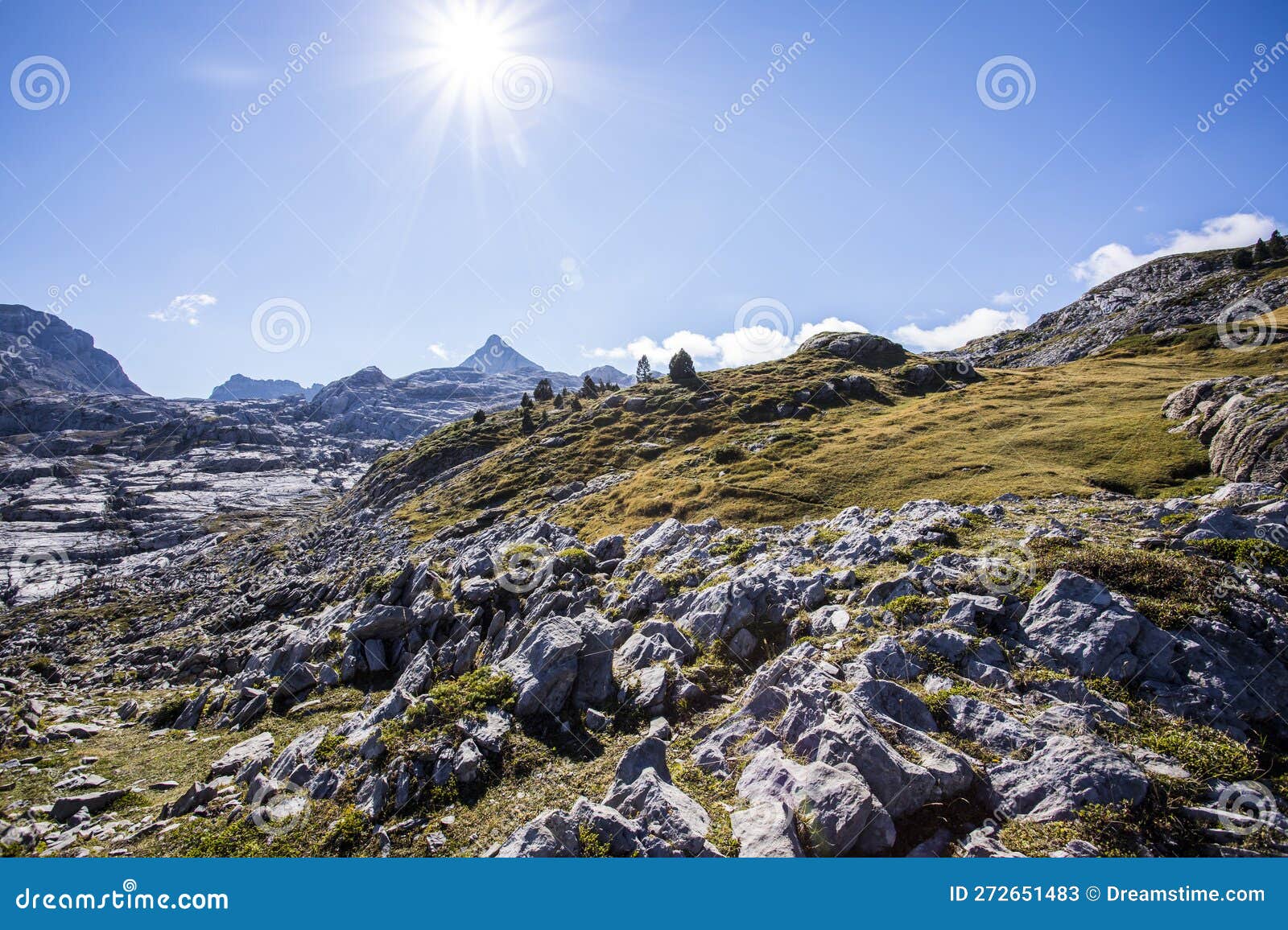 Summer Landscape in the Mountains of Navarra, Pyrenees, Spain Stock ...
