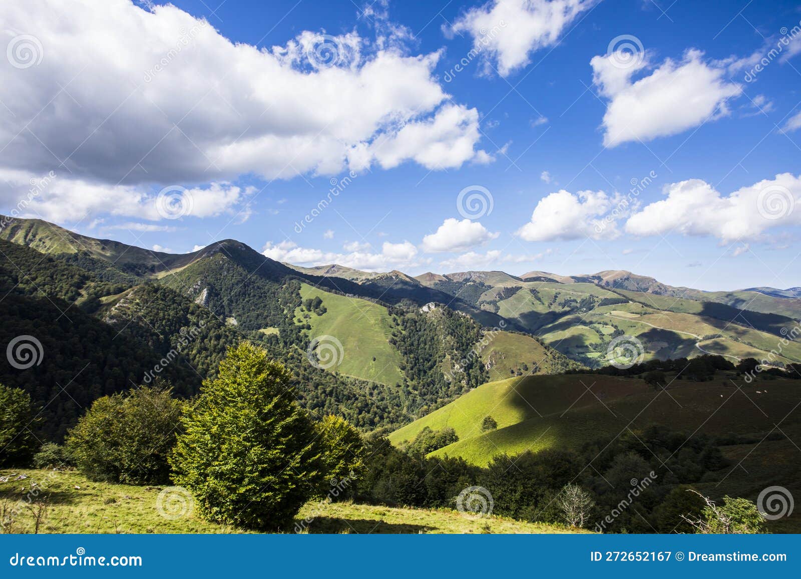 Summer Landscape in the Mountains of Navarra, Pyrenees, Spain Stock ...