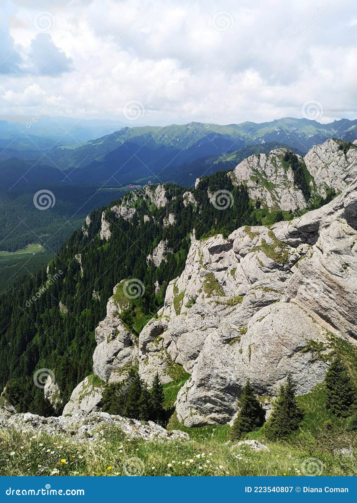 Summer in the mountains stock image. Image of nature - 223540807