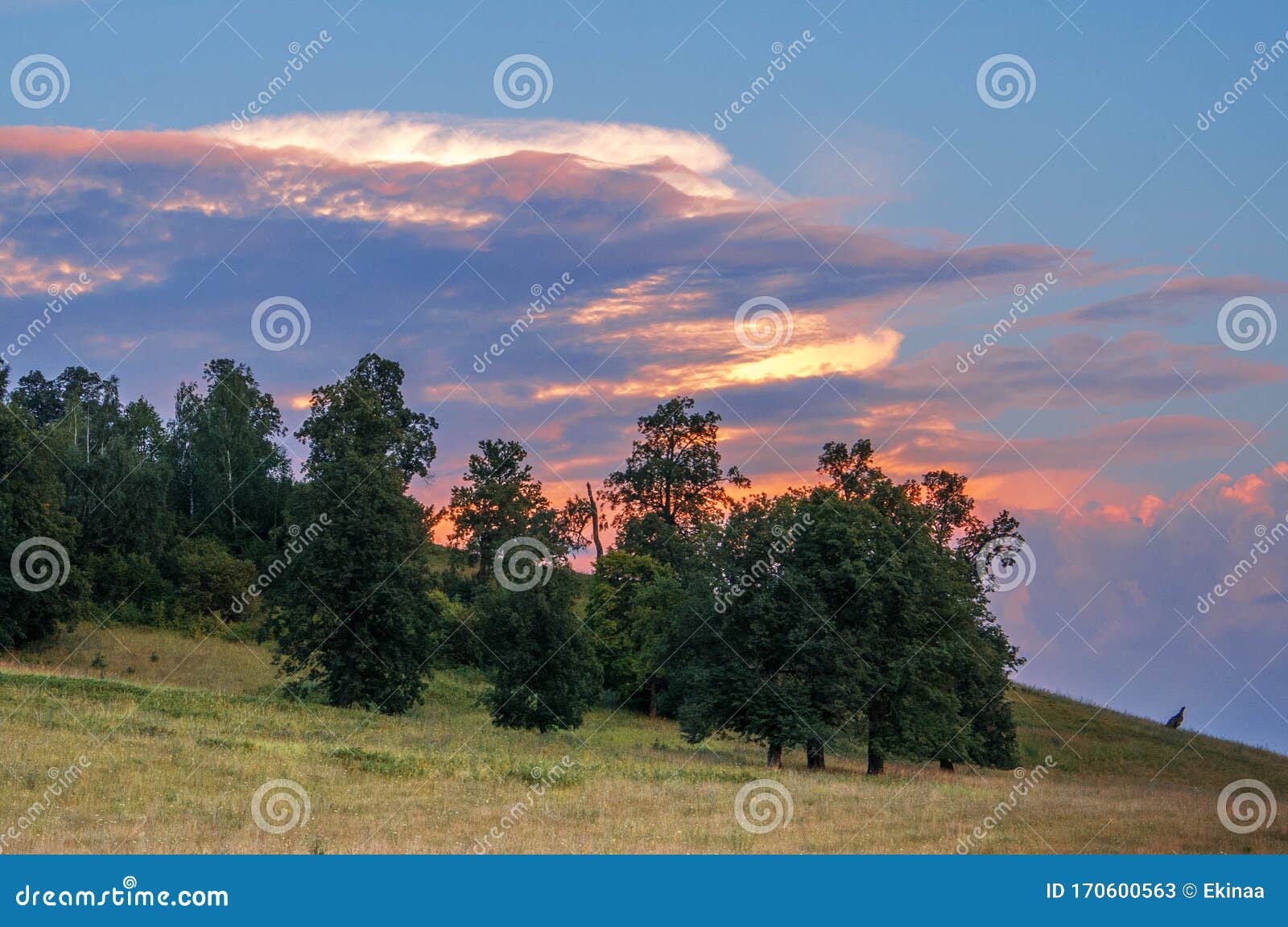 Summer Landscape, Mountainside on the Background of the Setting Sun ...