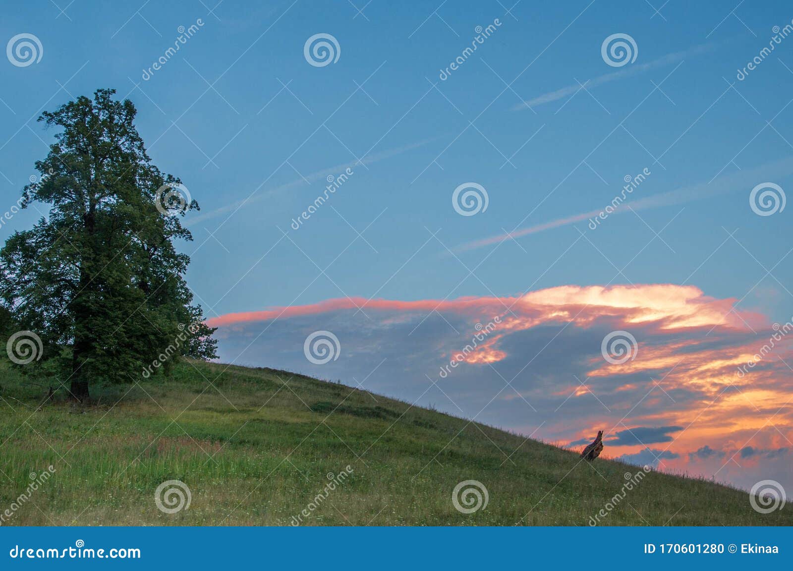 Summer Landscape, Mountainside on the Background of the Setting Sun ...