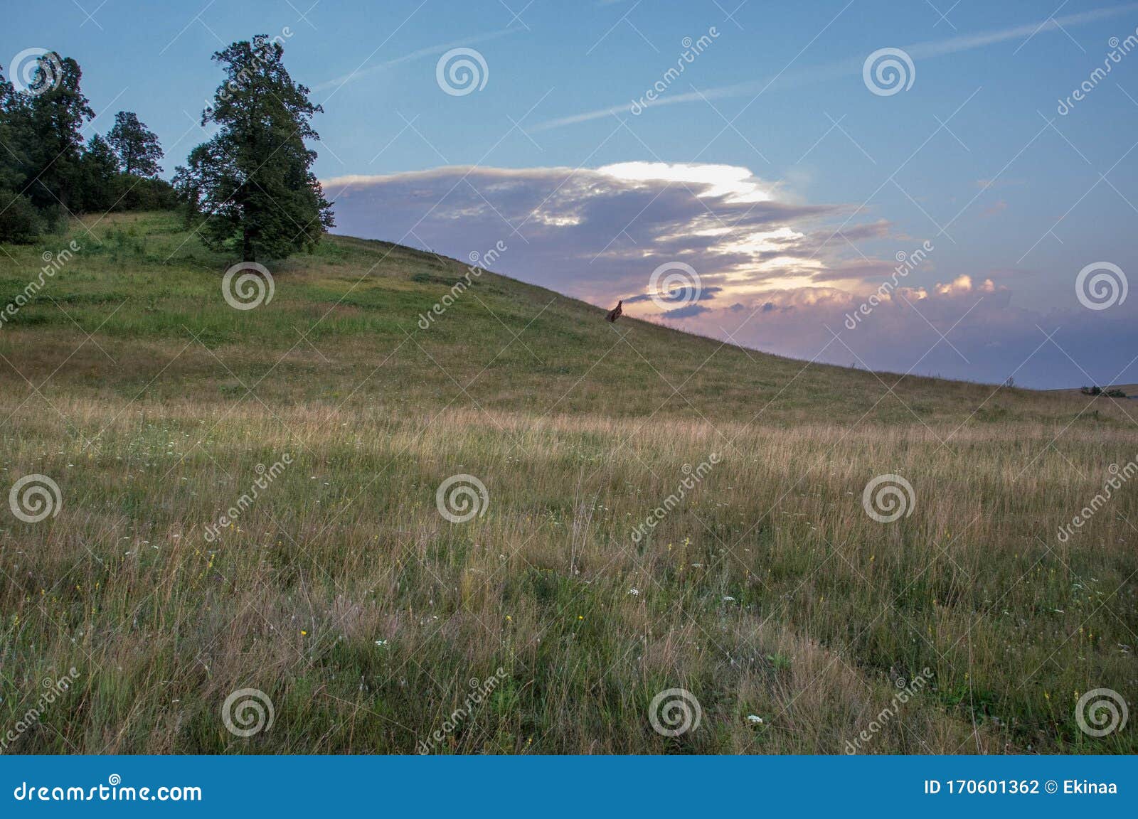 Summer Landscape, Mountainside on the Background of the Setting Sun ...