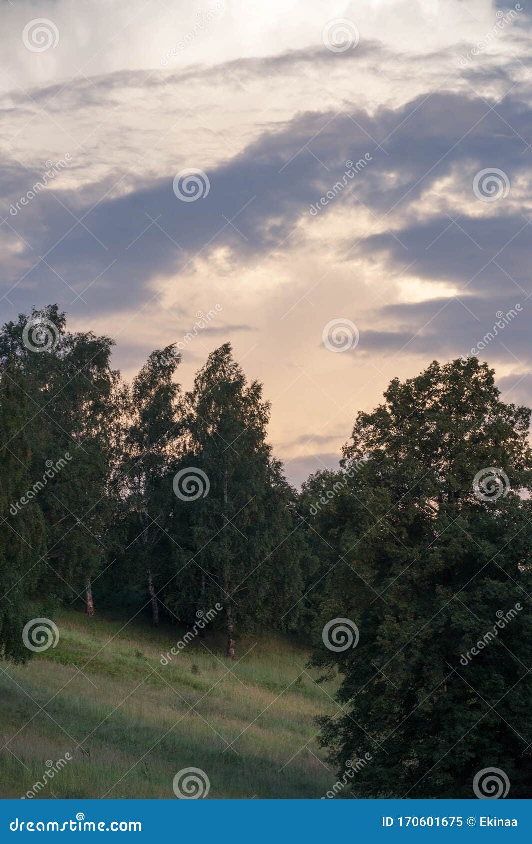 Summer Landscape, Mountainside on the Background of the Setting Sun ...