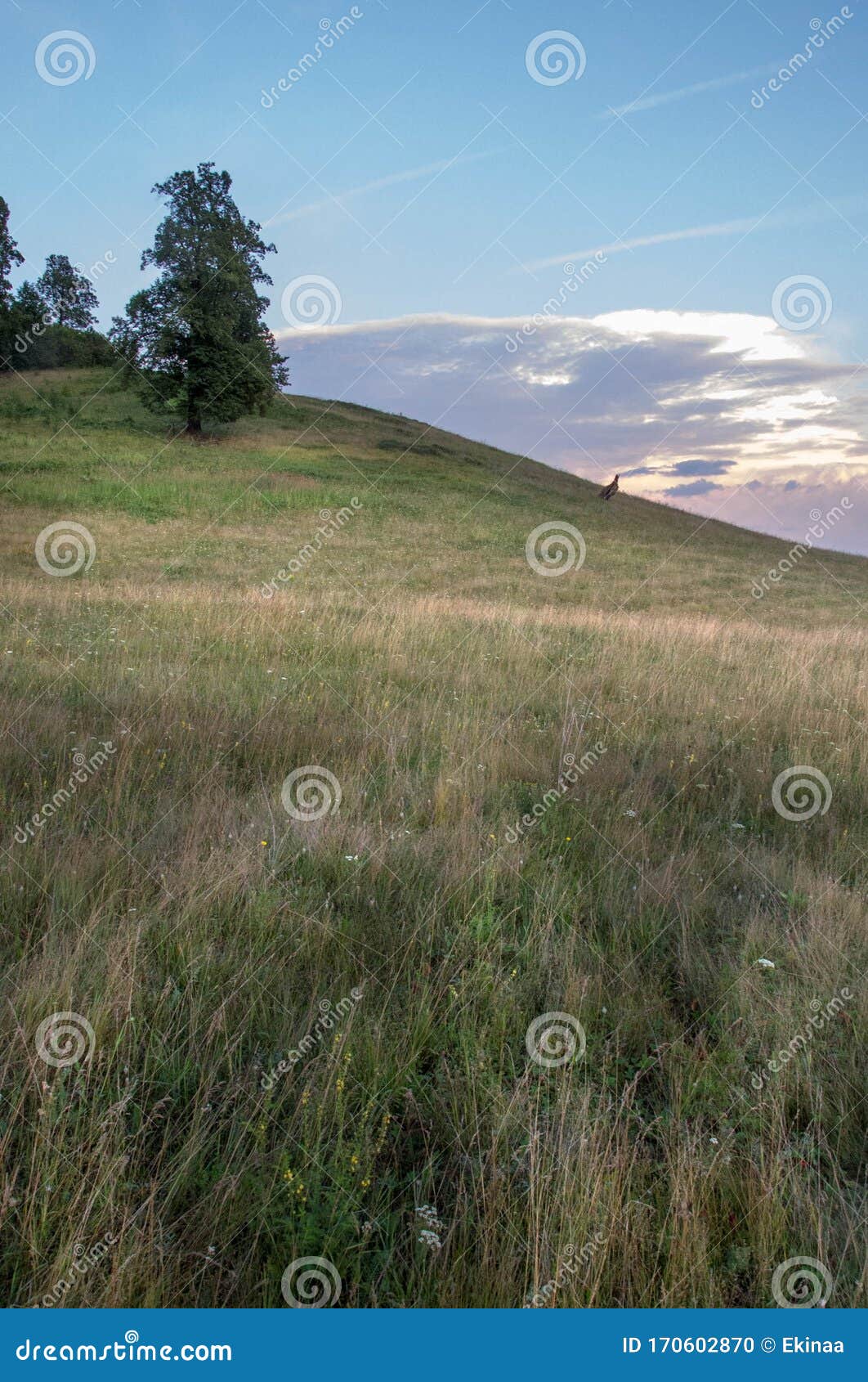 Summer Landscape, Mountainside on the Background of the Setting Sun ...