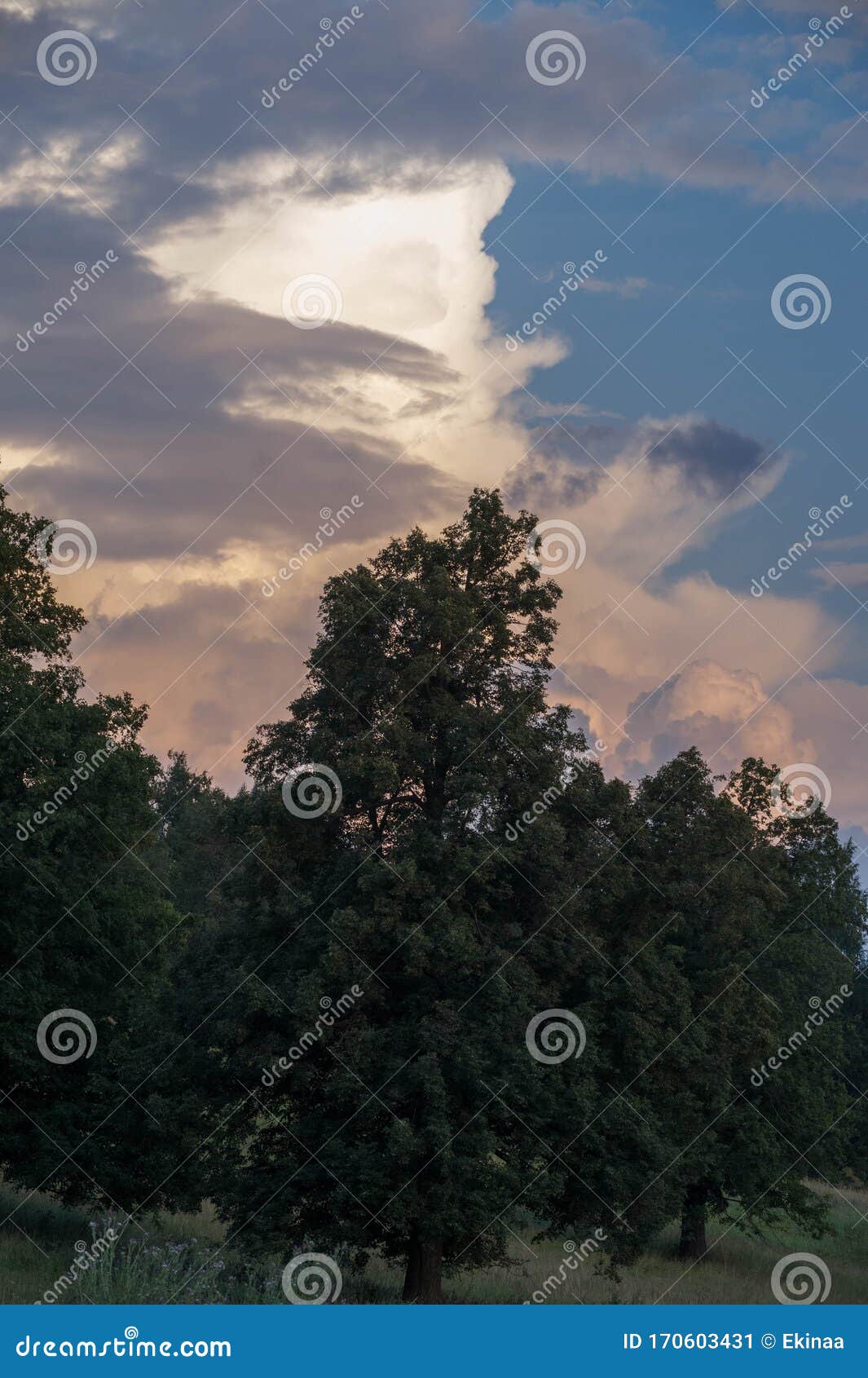 Summer Landscape, Mountainside on the Background of the Setting Sun ...