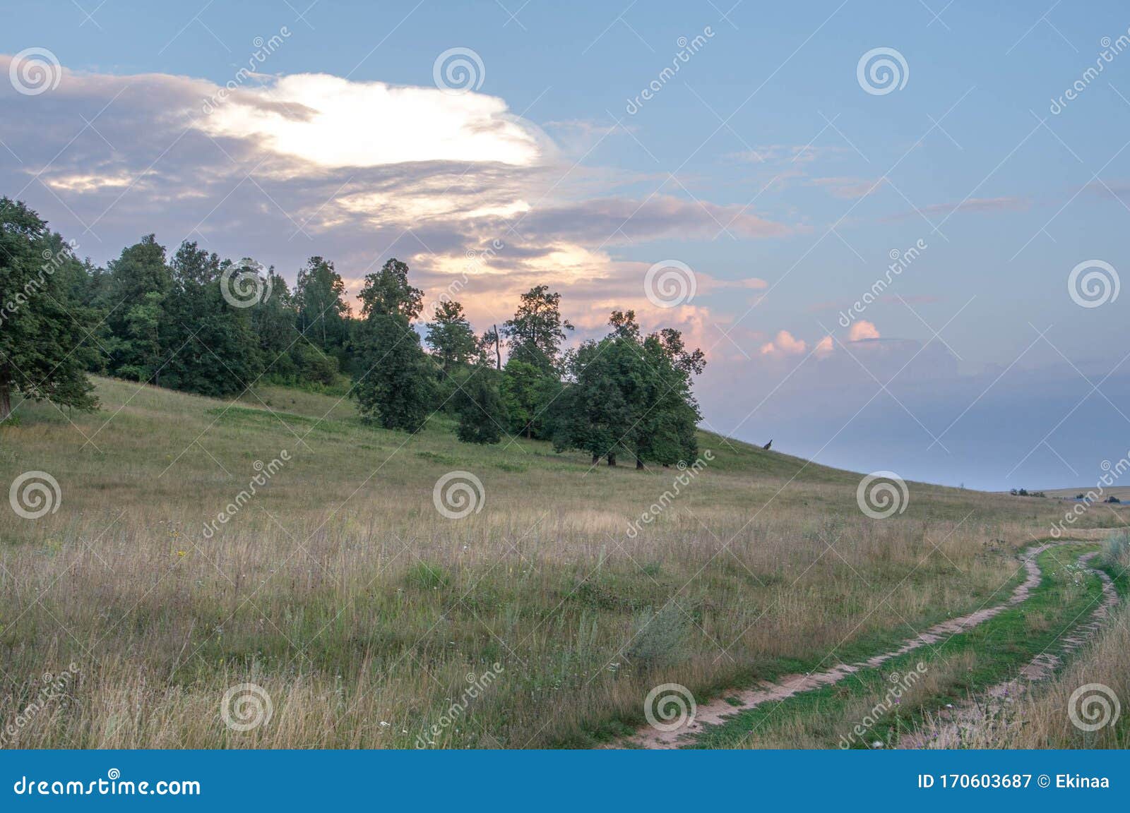 Summer Landscape, Mountainside on the Background of the Setting Sun ...