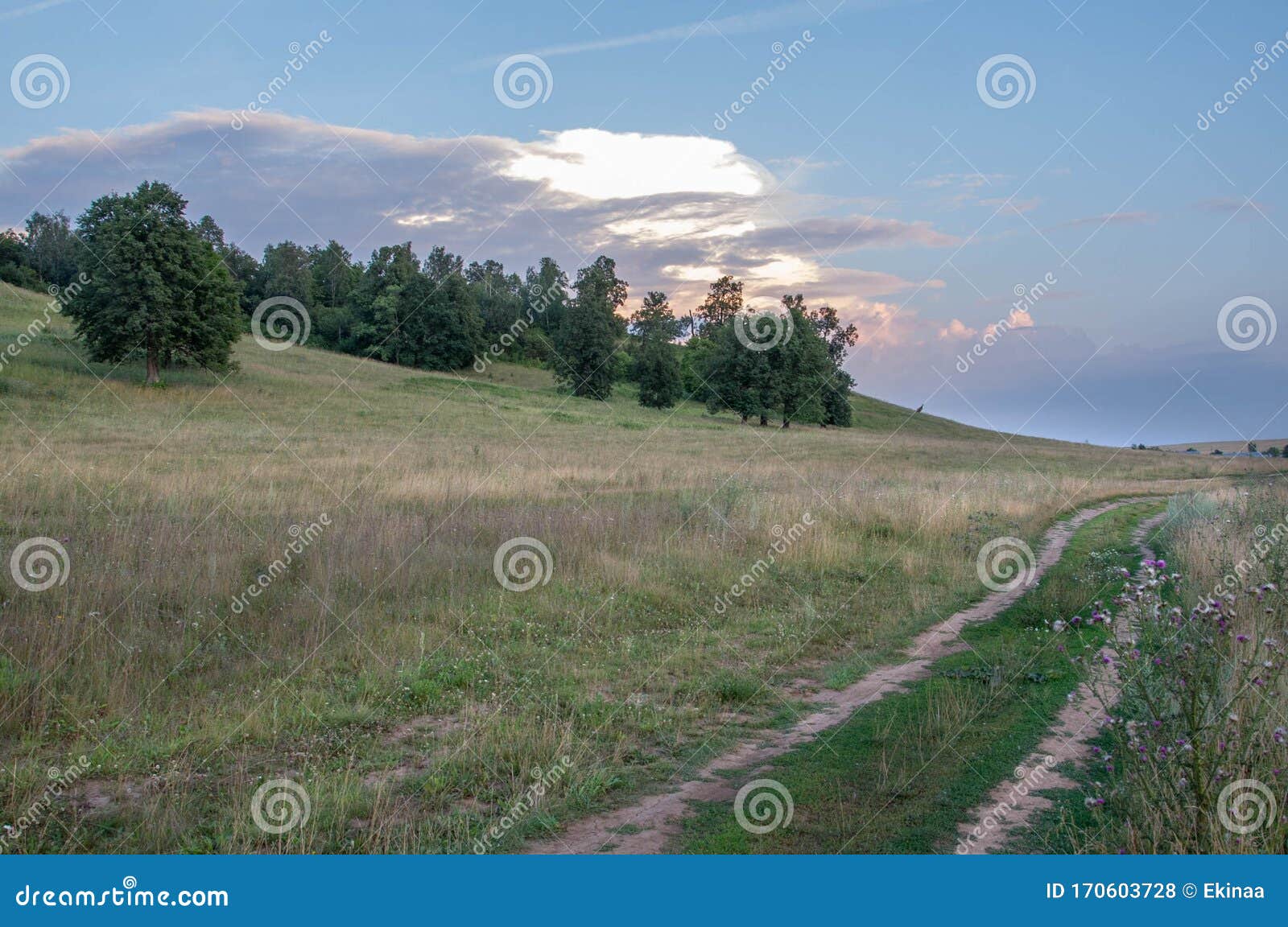 Summer Landscape, Mountainside on the Background of the Setting Sun ...