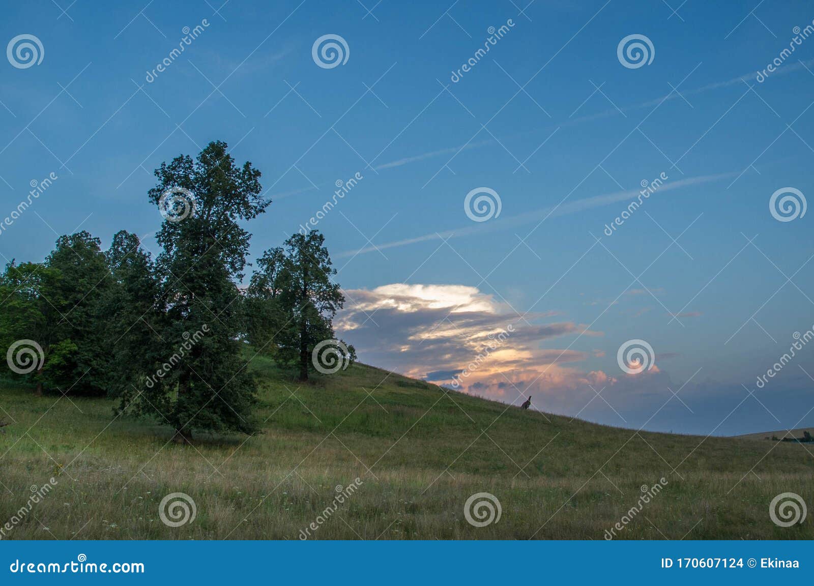 Summer Landscape, Mountainside on the Background of the Setting Sun ...