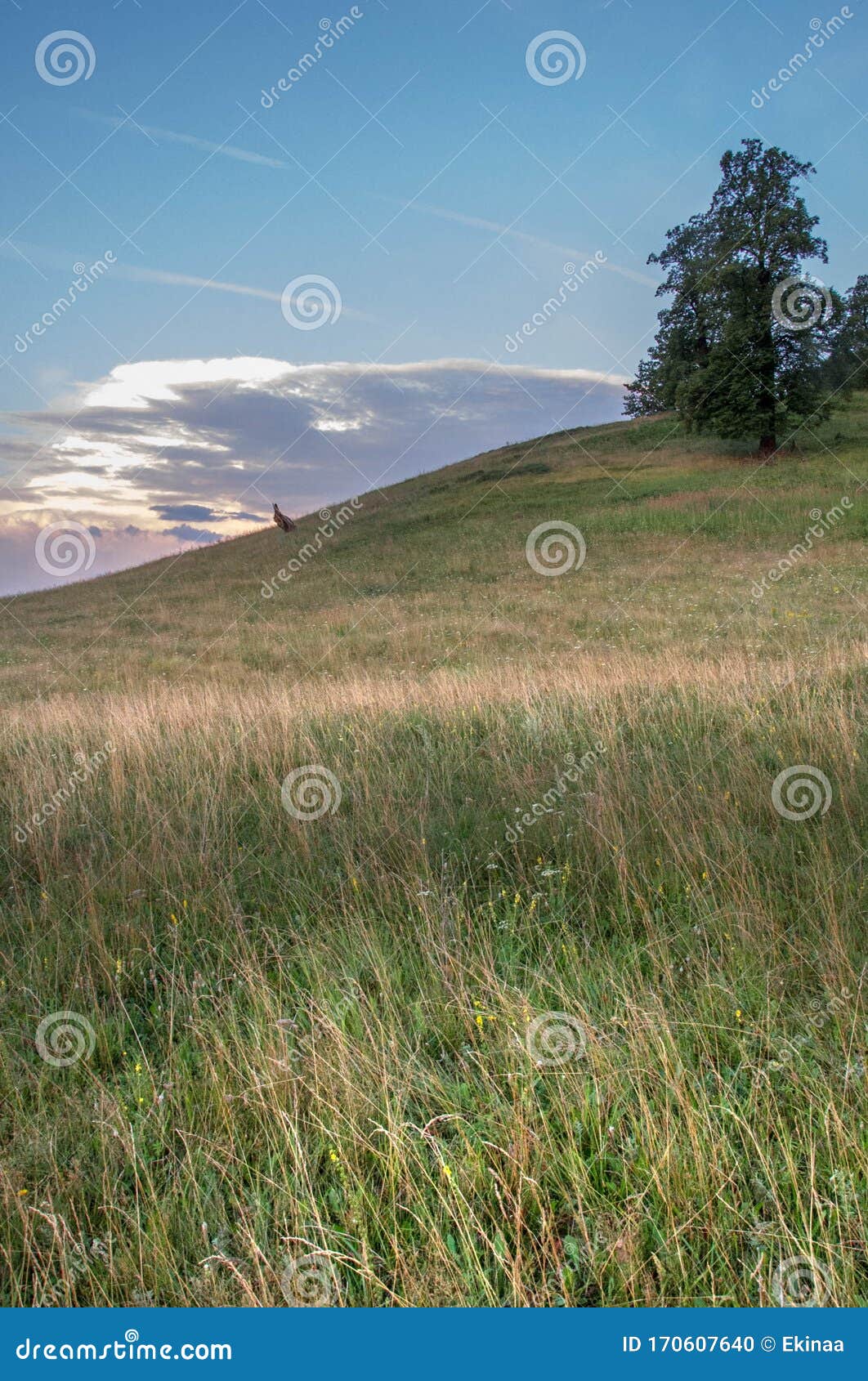 Summer Landscape, Mountainside on the Background of the Setting Sun ...