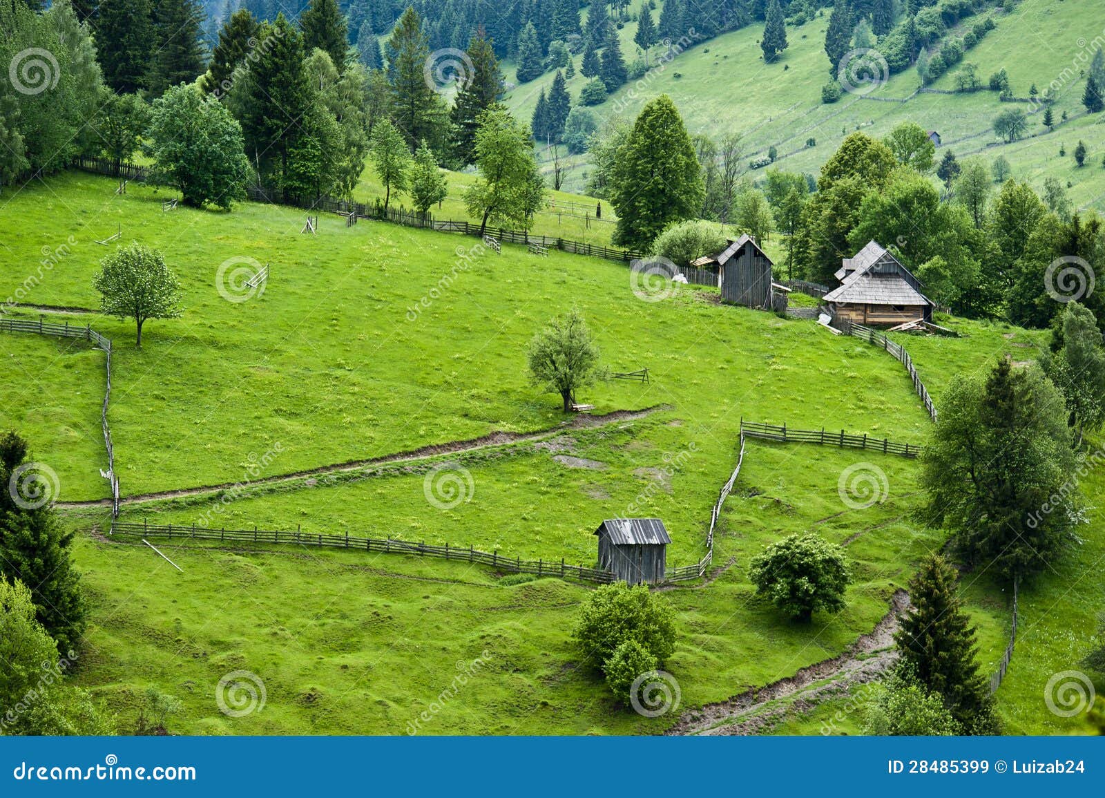 Summer Landscape in North of Romania Stock Image - Image of ...