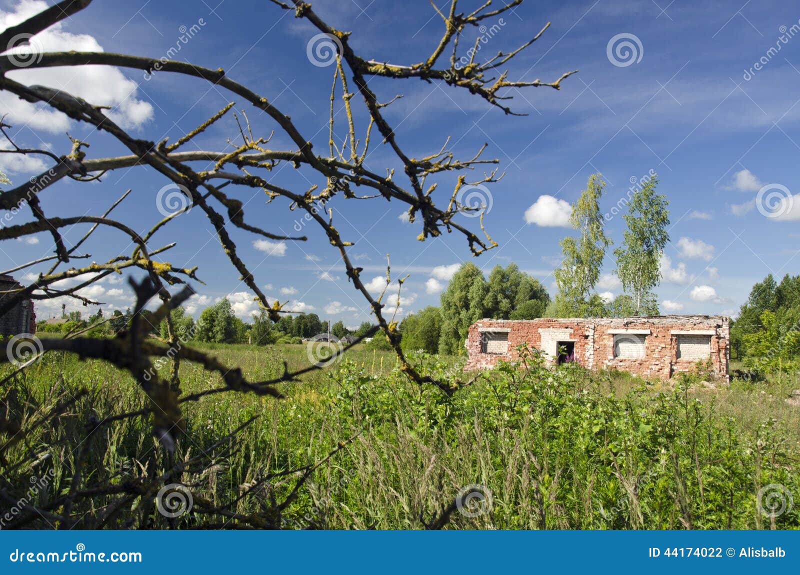 Summer Landscape with Old Abandoned Farm Ruins Stock Photo - Image of ...