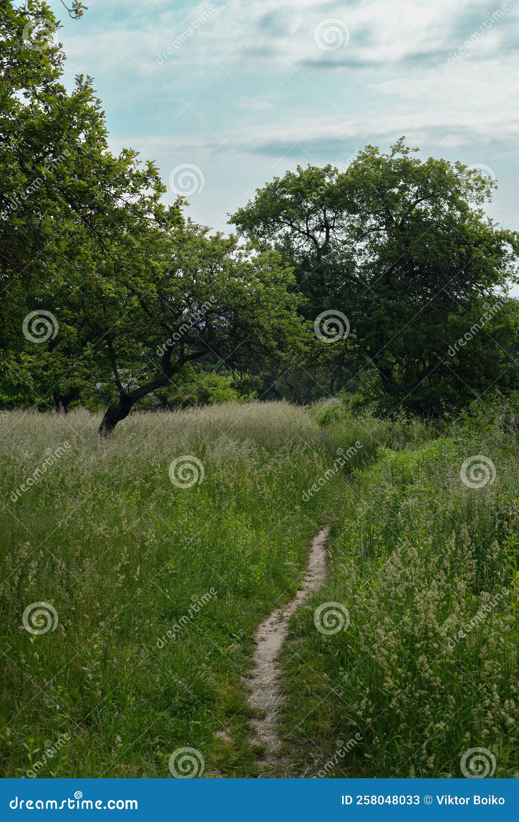 Summer Landscape with a Path Going into the Distance Stock Image ...