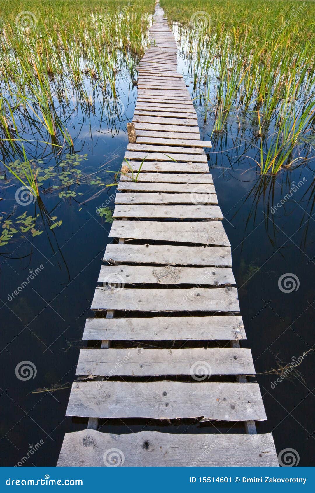 Summer landscape, pier stock image. Image of shore, steps - 15514601