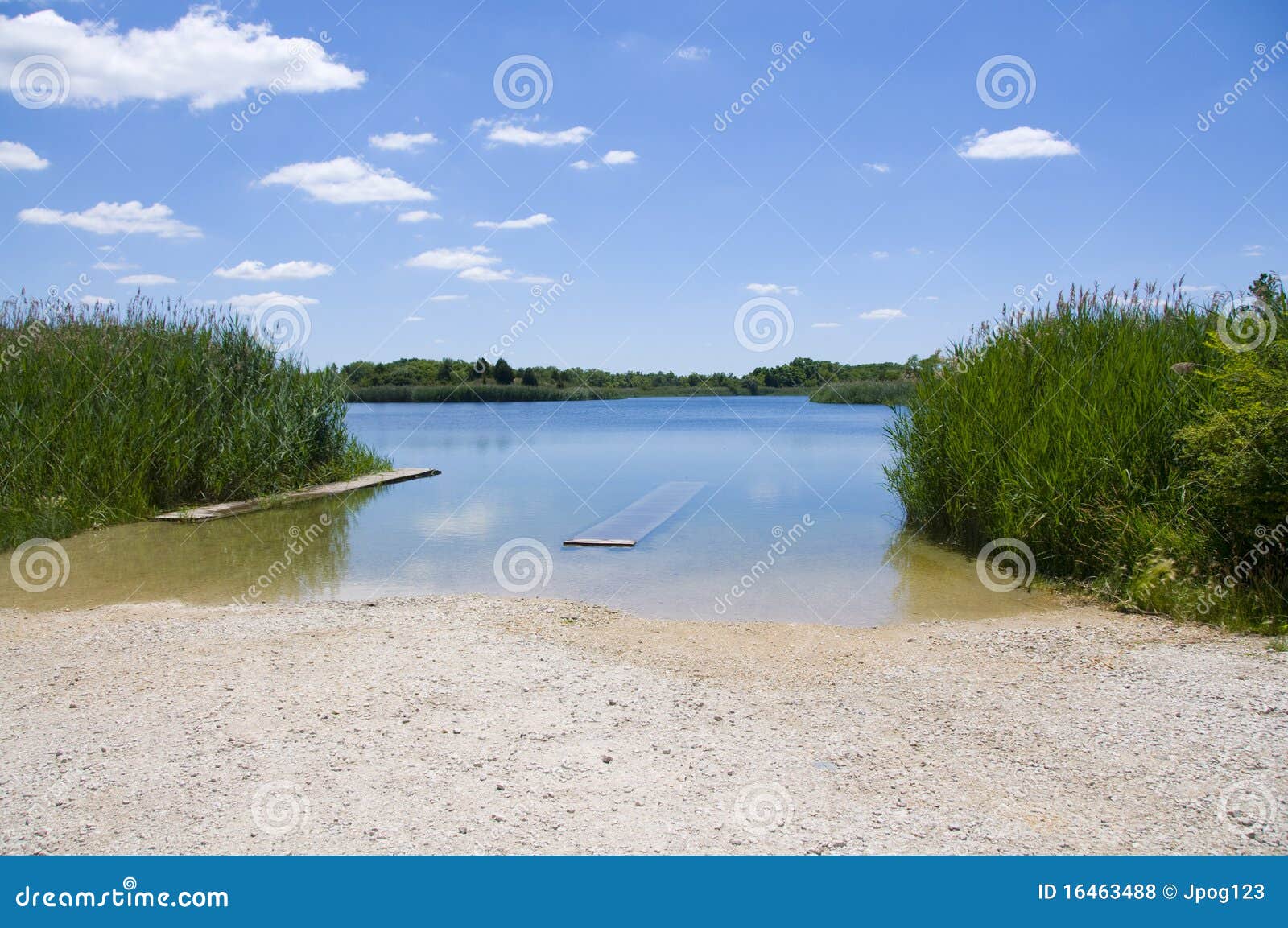 Summer Landscape Of Pond With Blue Sky Stock Photo - Image of scene ...