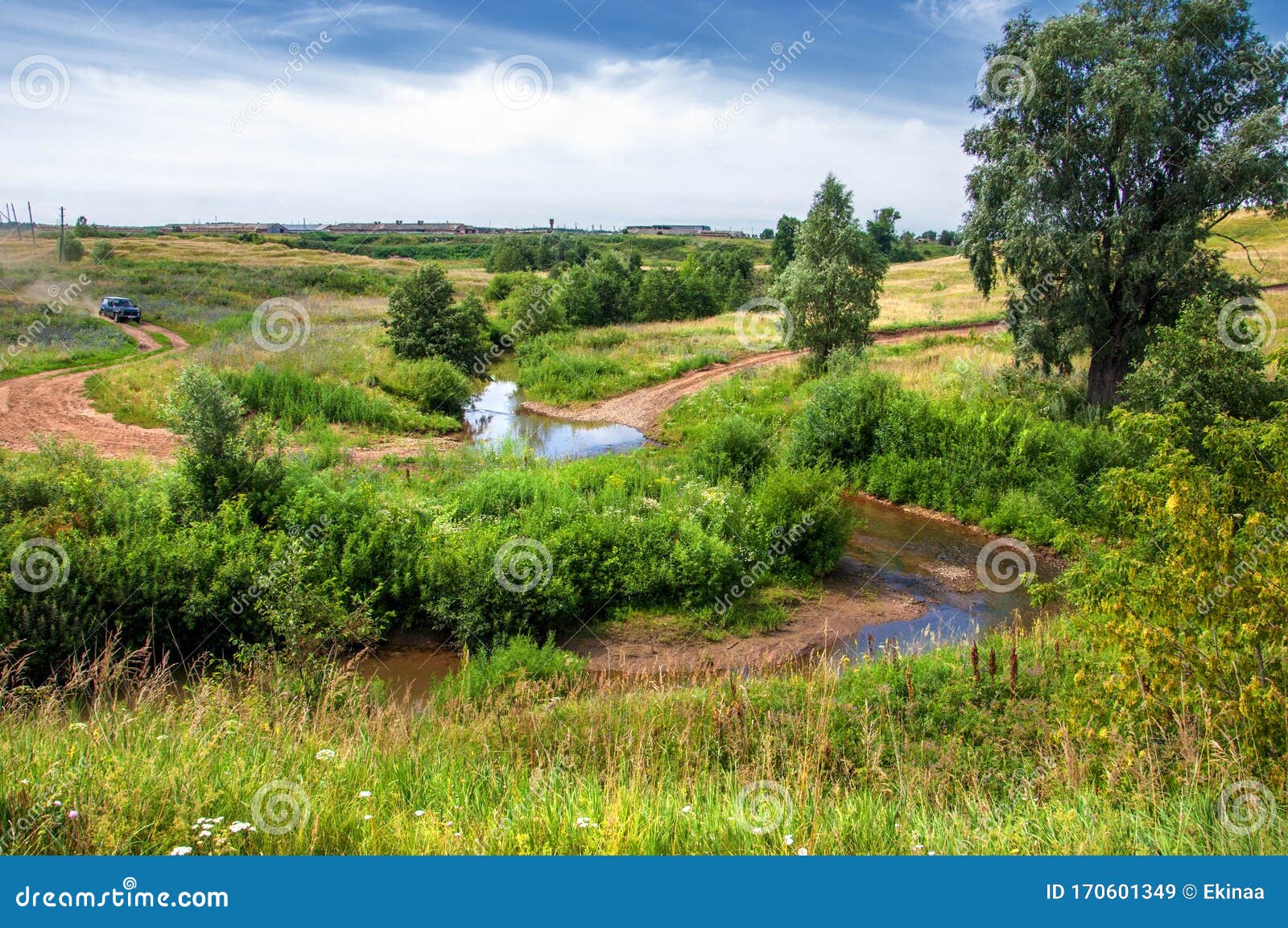 Summer Landscape, Ravine, Grass Sedge, Motley Grass. a Small River ...