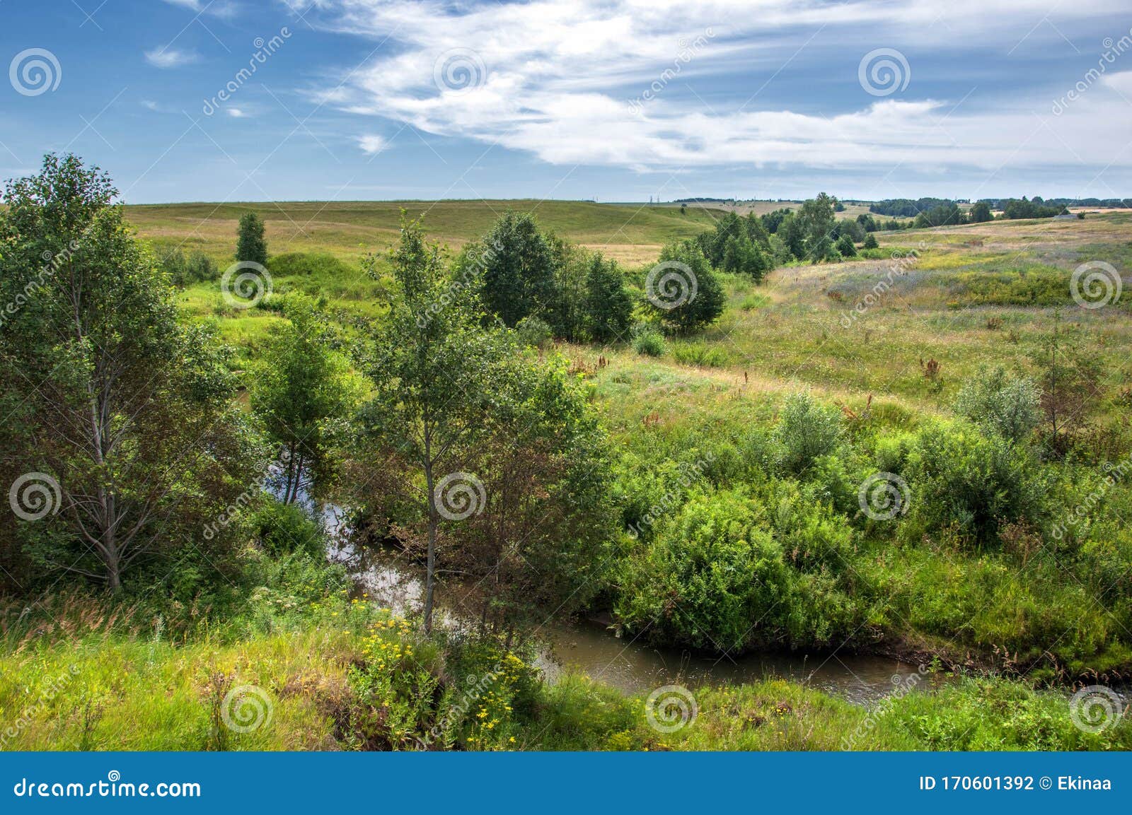 Summer Landscape, Ravine, Grass Sedge, Motley Grass. a Small River ...