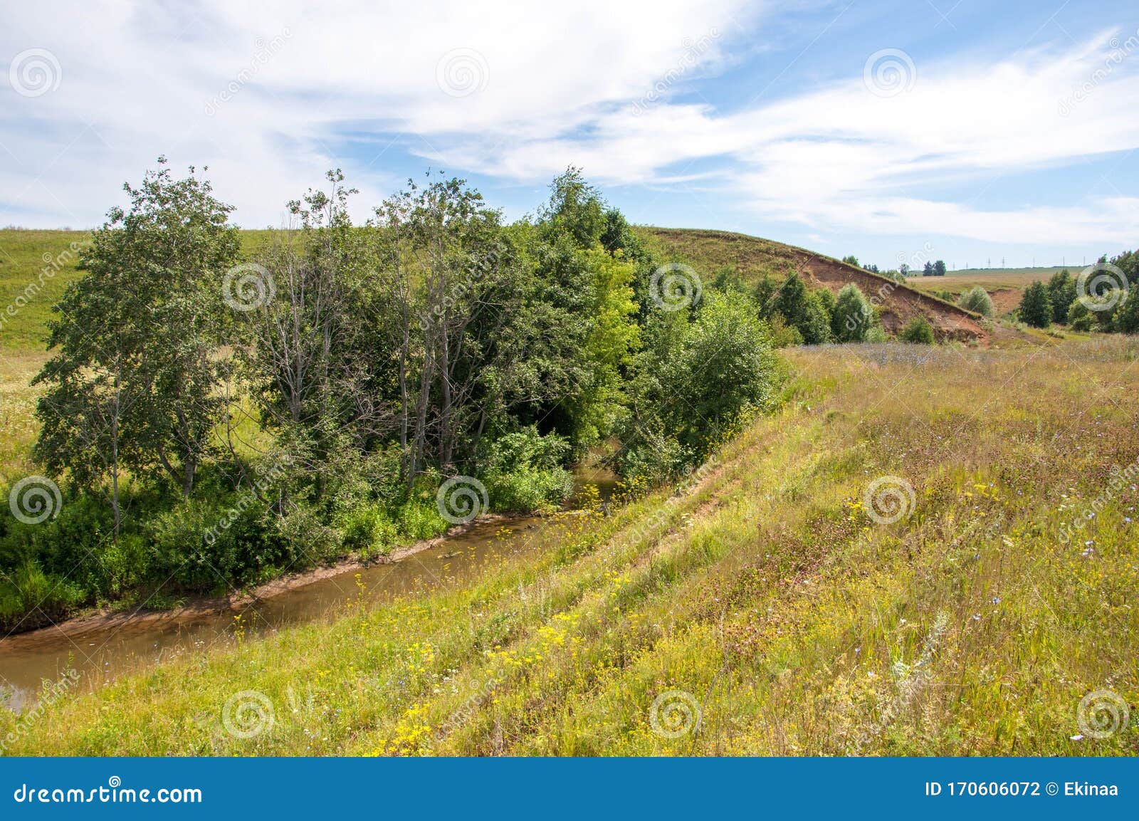 Summer Landscape, Ravine, Grass Sedge, Motley Grass. a Small River ...