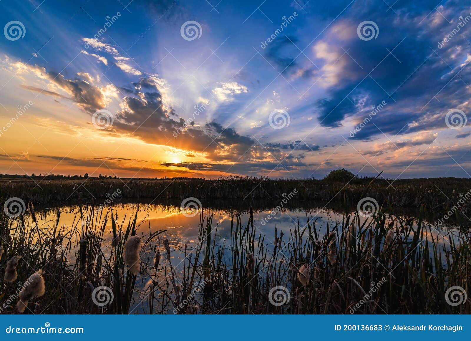 Summer Landscape with the Reflection of Sunset and Sun Rays in the ...