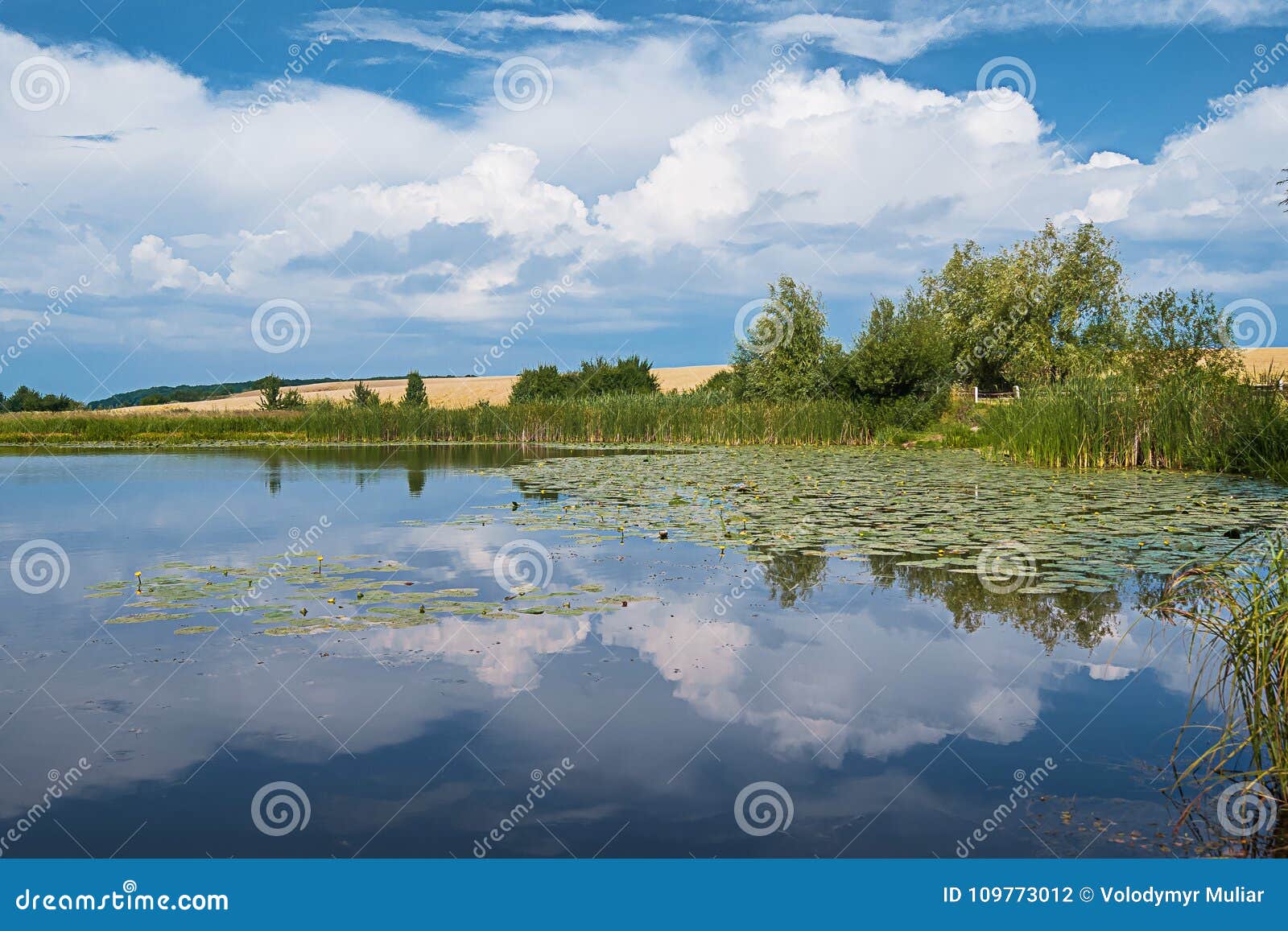 Summer Landscape: River, Reflection of Clouds in the Water, Sky Stock ...