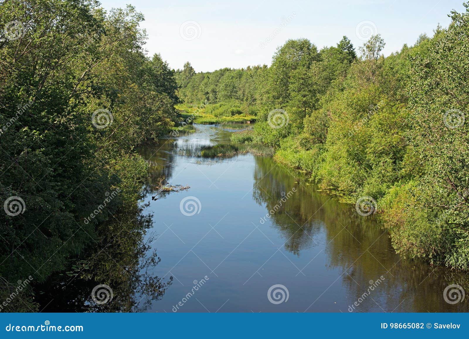 Summer Landscape River and Trees on the Shore Stock Photo - Image of ...
