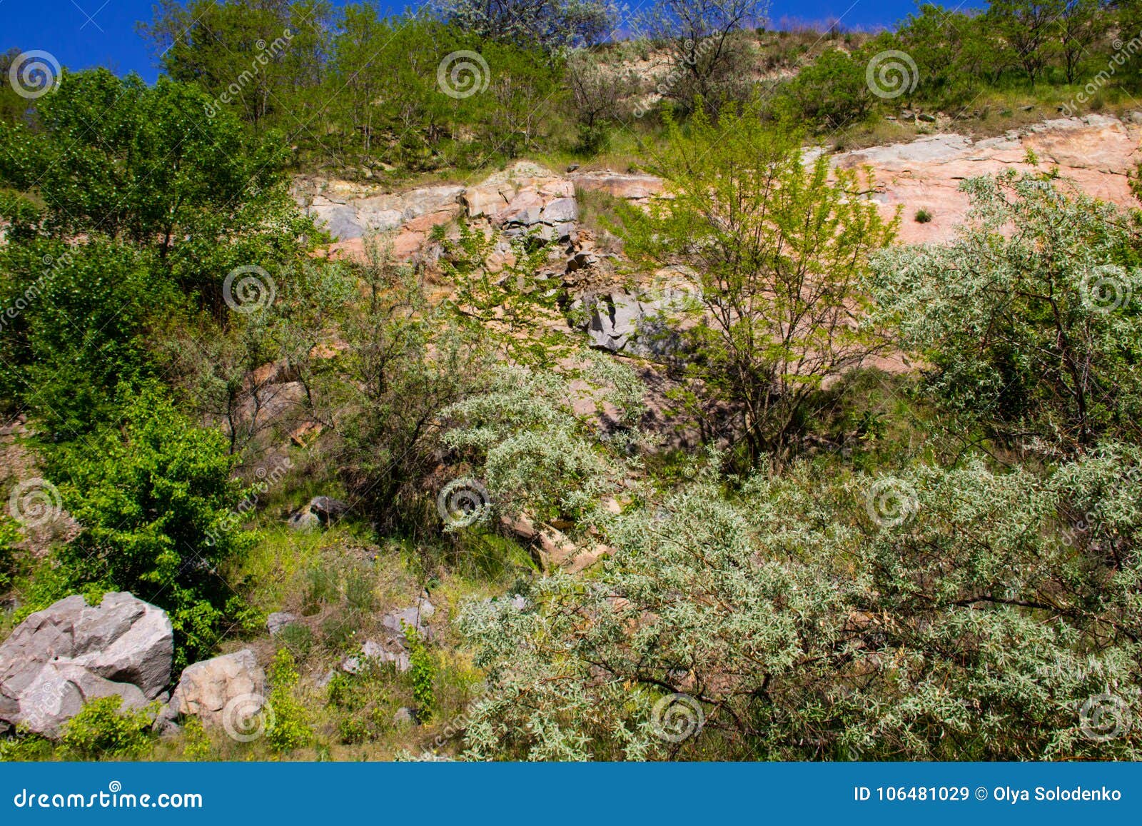 Summer Landscape with Rocks and Trees Stock Image - Image of erosion ...