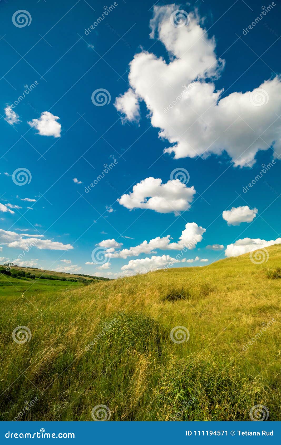 A Summer Landscape of Rolling Hills with Beautiful Clouds Stock Image ...