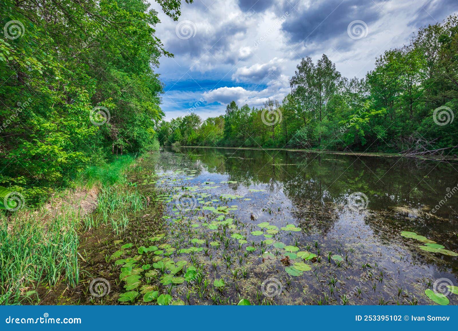 Summer Landscape in Rural Areas Stock Photo - Image of blue, morning ...