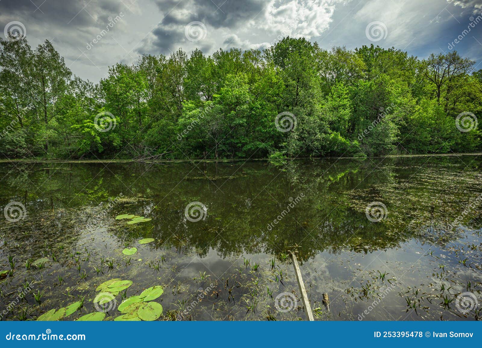 Summer Landscape in Rural Areas Stock Photo - Image of outdoor, nature ...