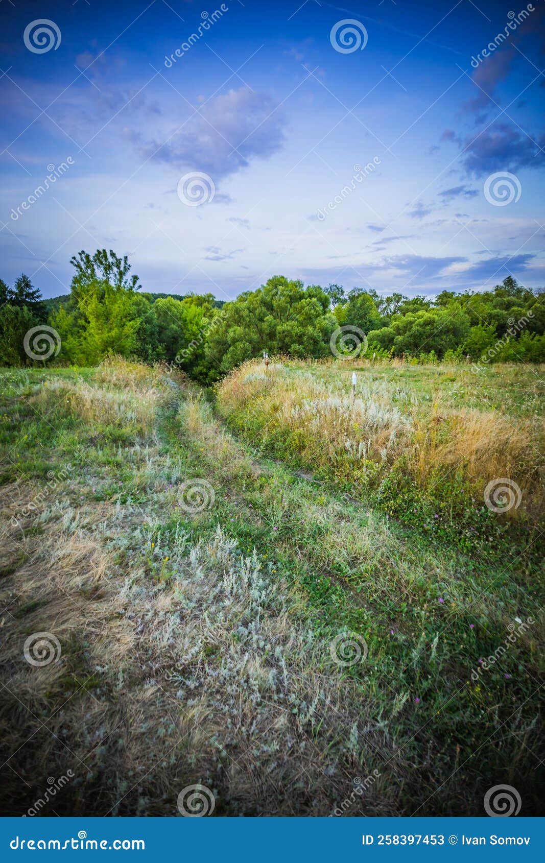 Summer Landscape in Rural Areas Stock Image - Image of ostfildern, ruit ...