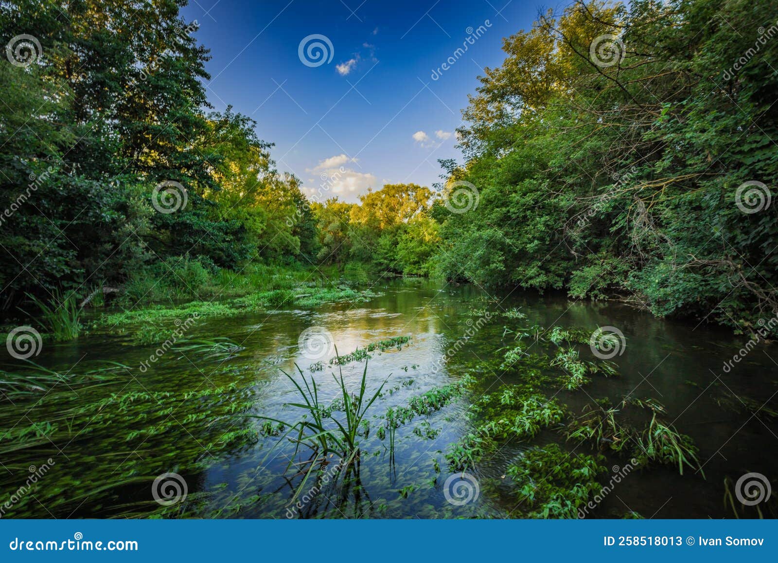 Summer Landscape in Rural Areas Stock Image - Image of city, roof ...