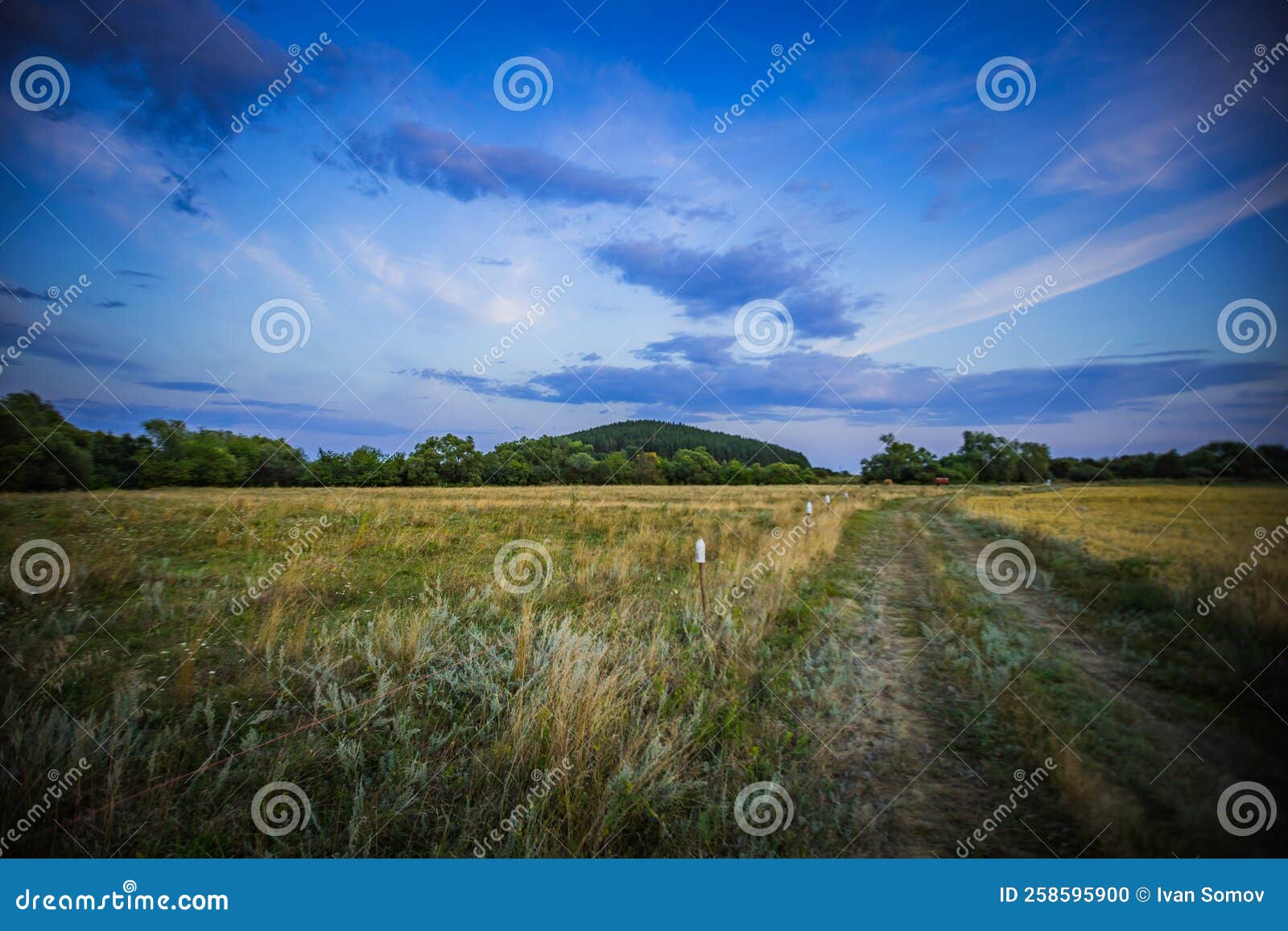 Summer Landscape in Rural Areas Stock Photo - Image of beautiful ...