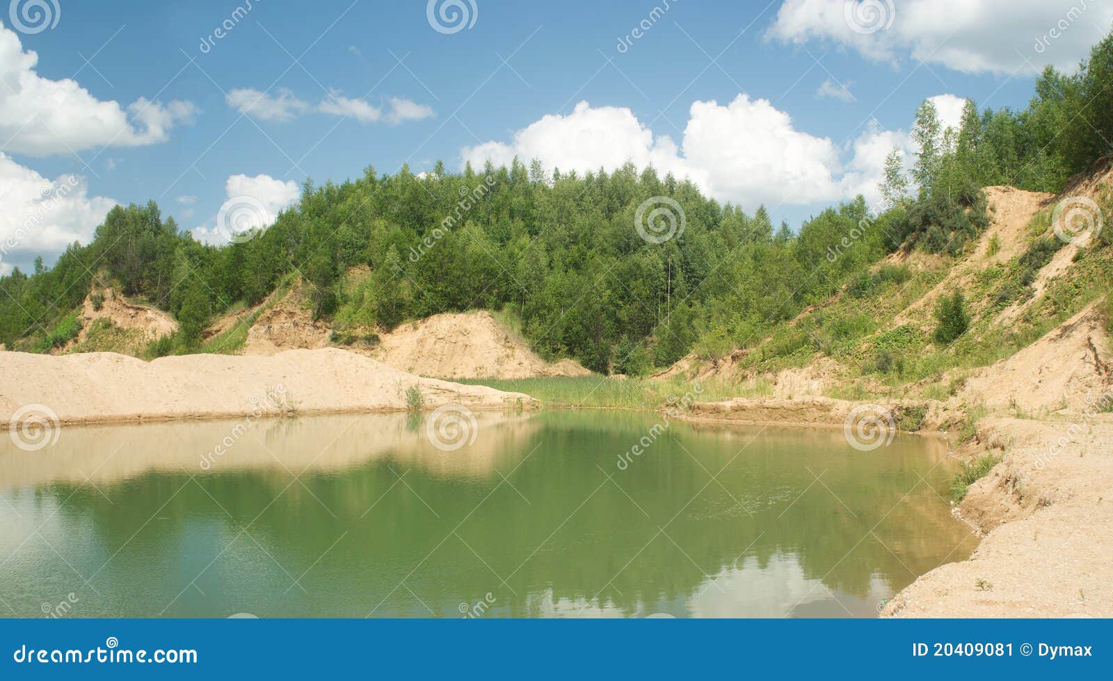 Summer Landscape with Sandy Lake and Forest Stock Image - Image of land ...